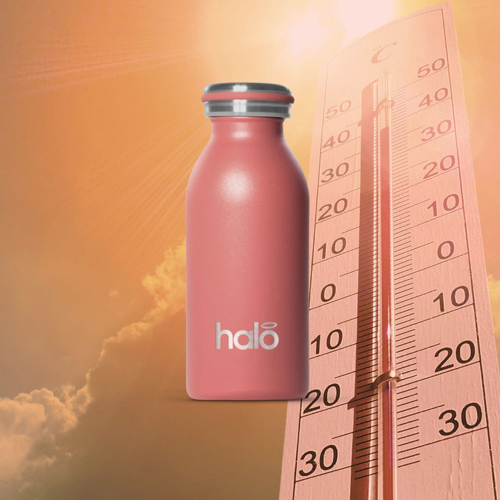 Stainless Steel Insulated Reusable Water Bottles | Halo Bottle